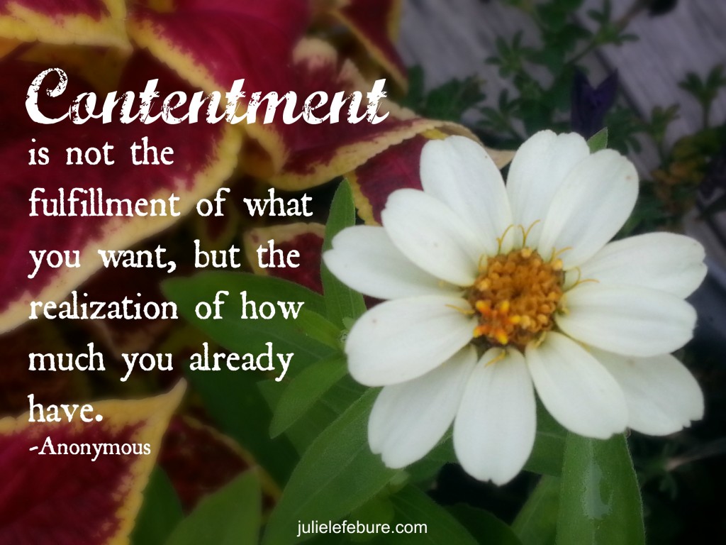 Be Content, But Not Satisfied - Julie Lefebure