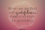 The Best, Not The Worst - Julie Lefebure