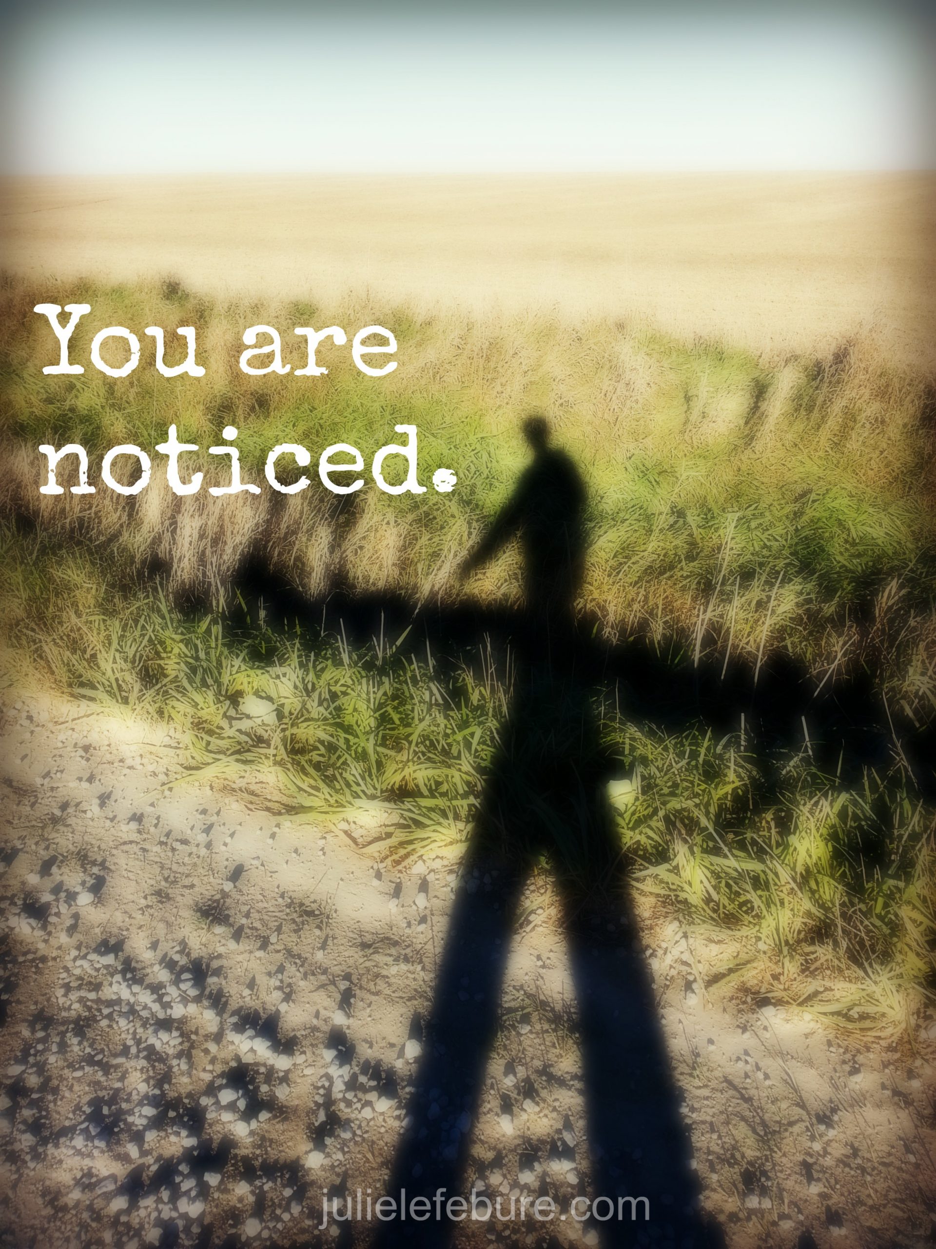 Friend, You Are Noticed - Julie Lefebure