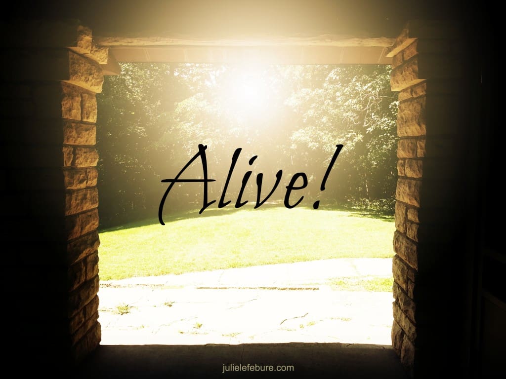 Five Minute Friday - Alive - Julie Lefebure