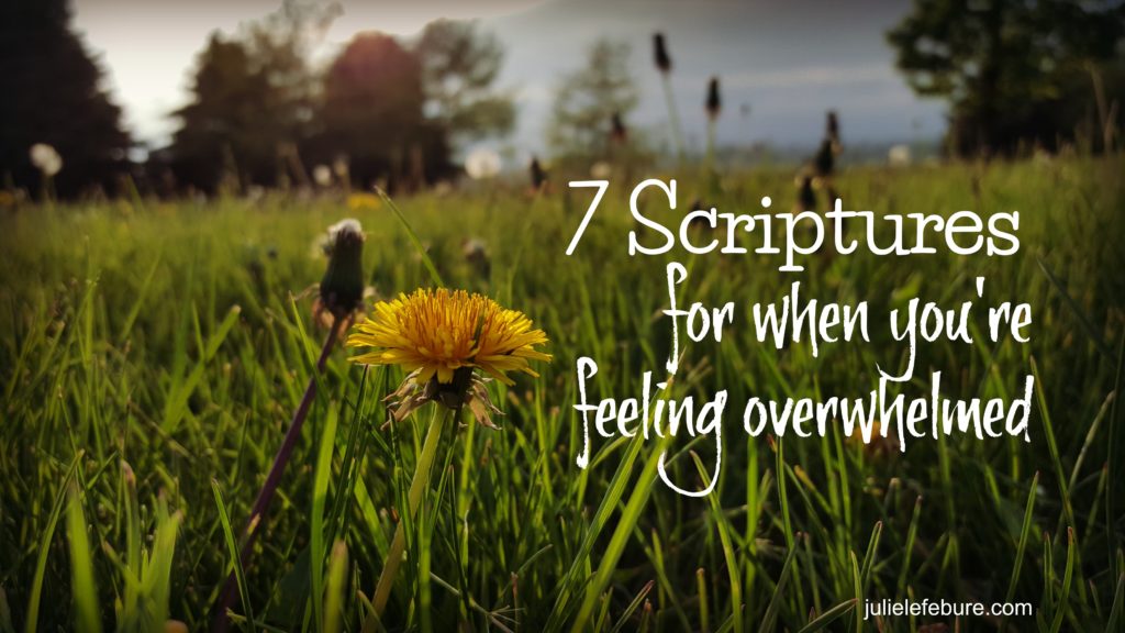 Feeling Overwhelmed? 7 Scriptures Just For You - Julie Lefebure