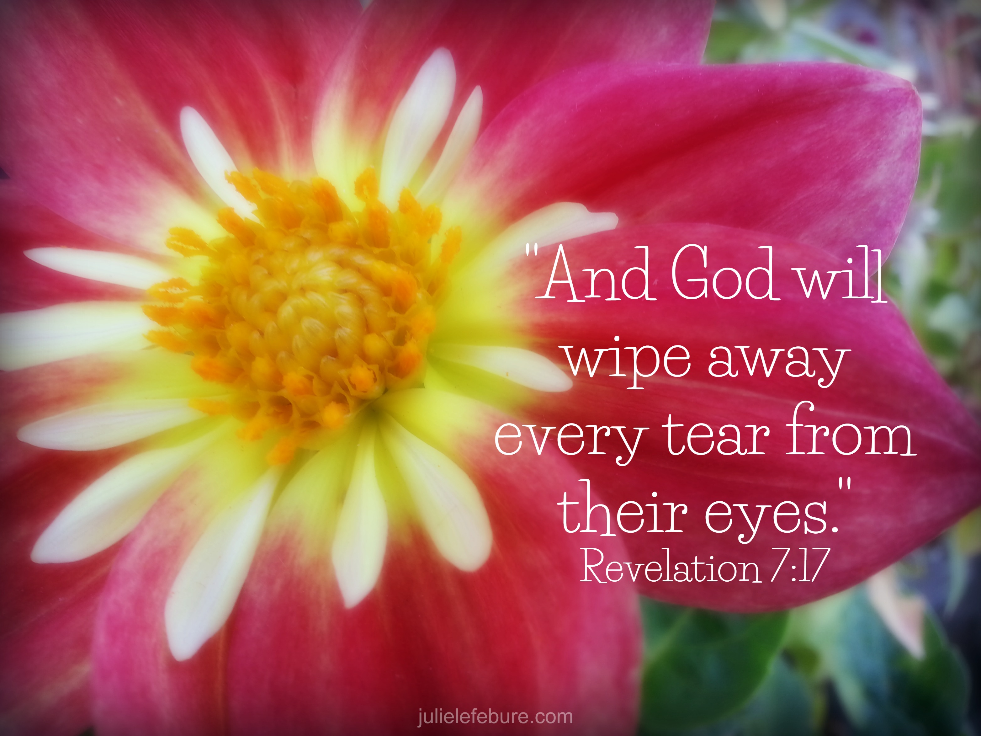 When Tears Appear In The Check Out Lane - Julie Lefebure