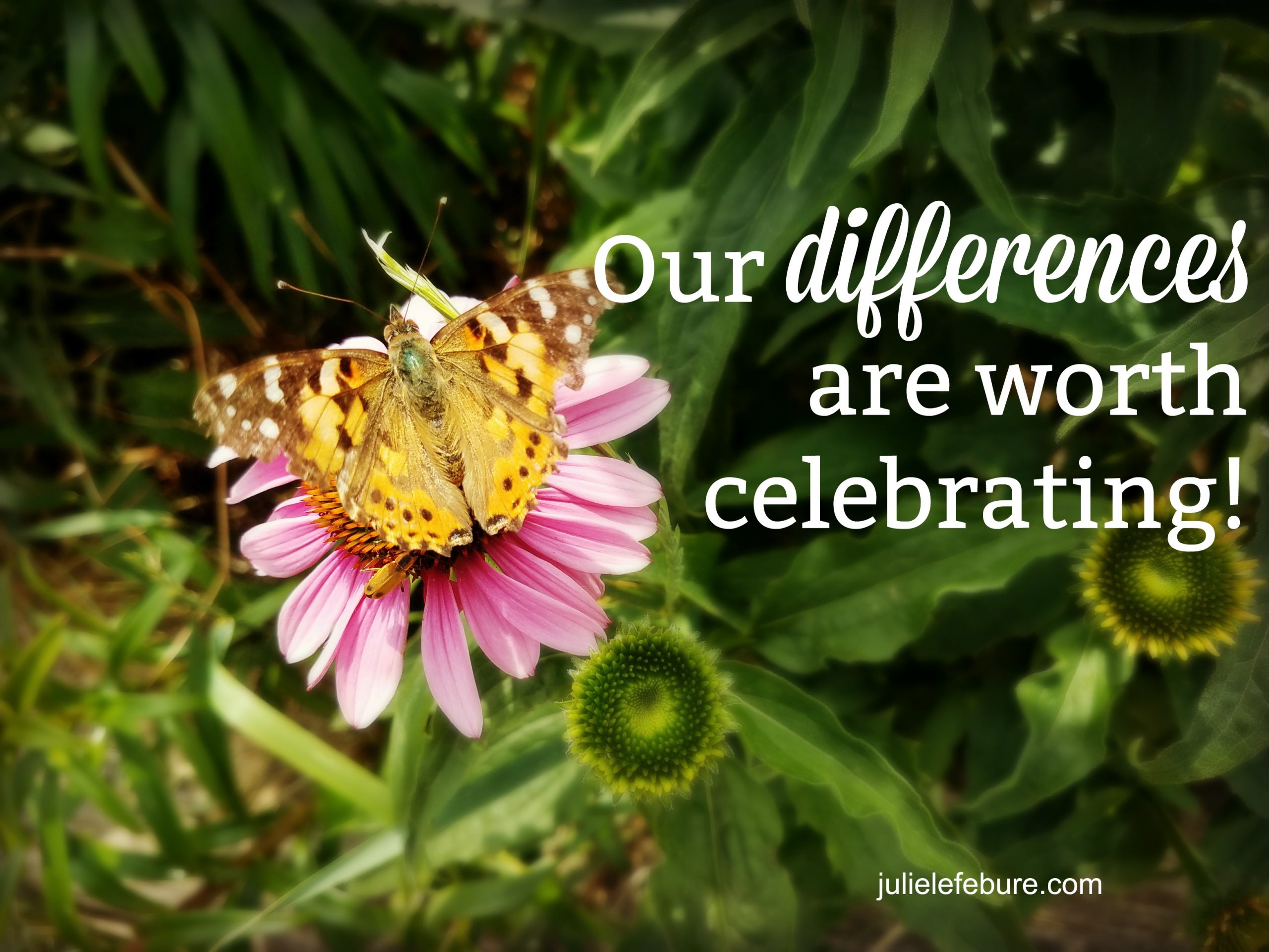 Living A Real Life And Celebrating Our Differences - Julie Lefebure