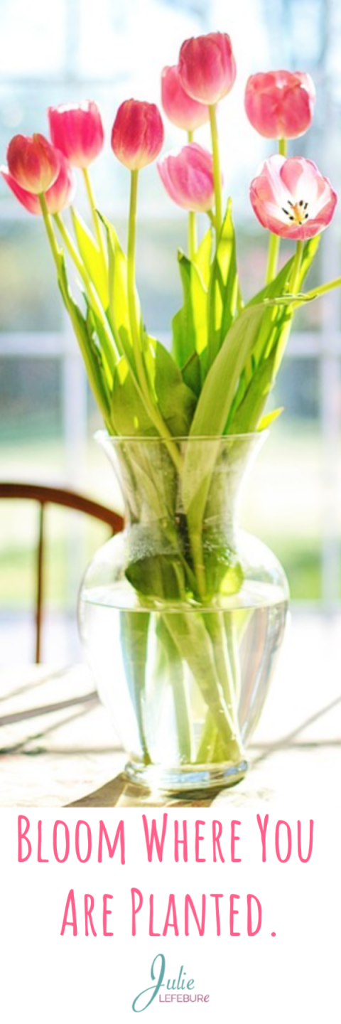 Resource Access - Julie Lefebure