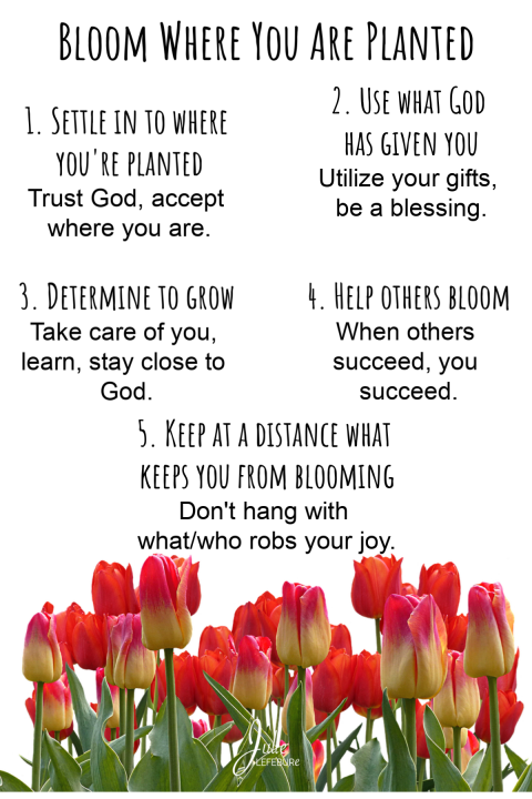 Resource Access - Julie Lefebure