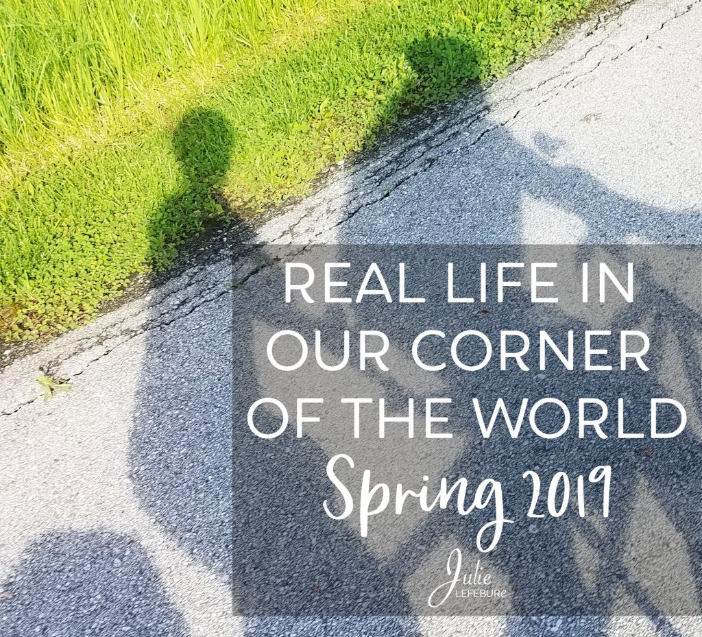 Real Life In Our Corner Of The World - Spring 2019 - Julie Lefebure