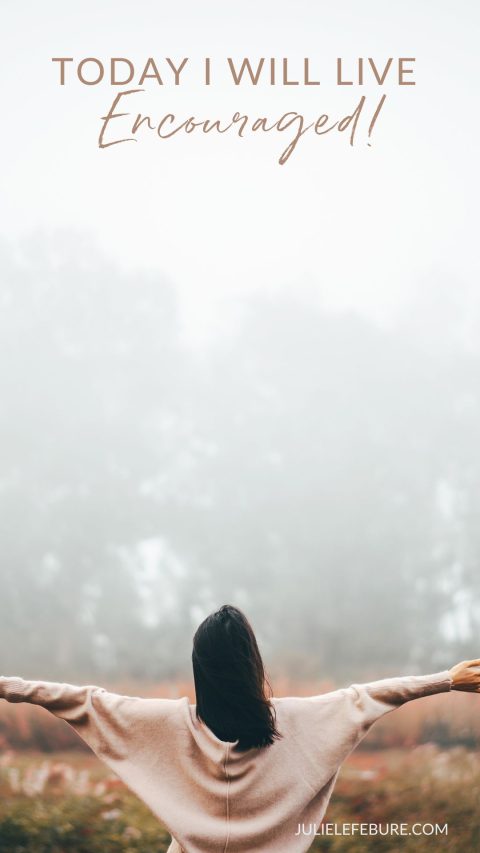 Resource Access - Julie Lefebure